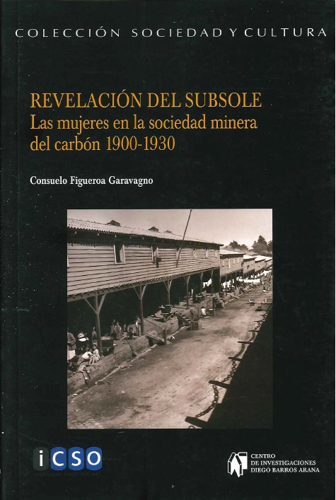 Vol. L Revelación del subsole. Las mujeres en la sociedad minera del carbón 1900-1930 ...